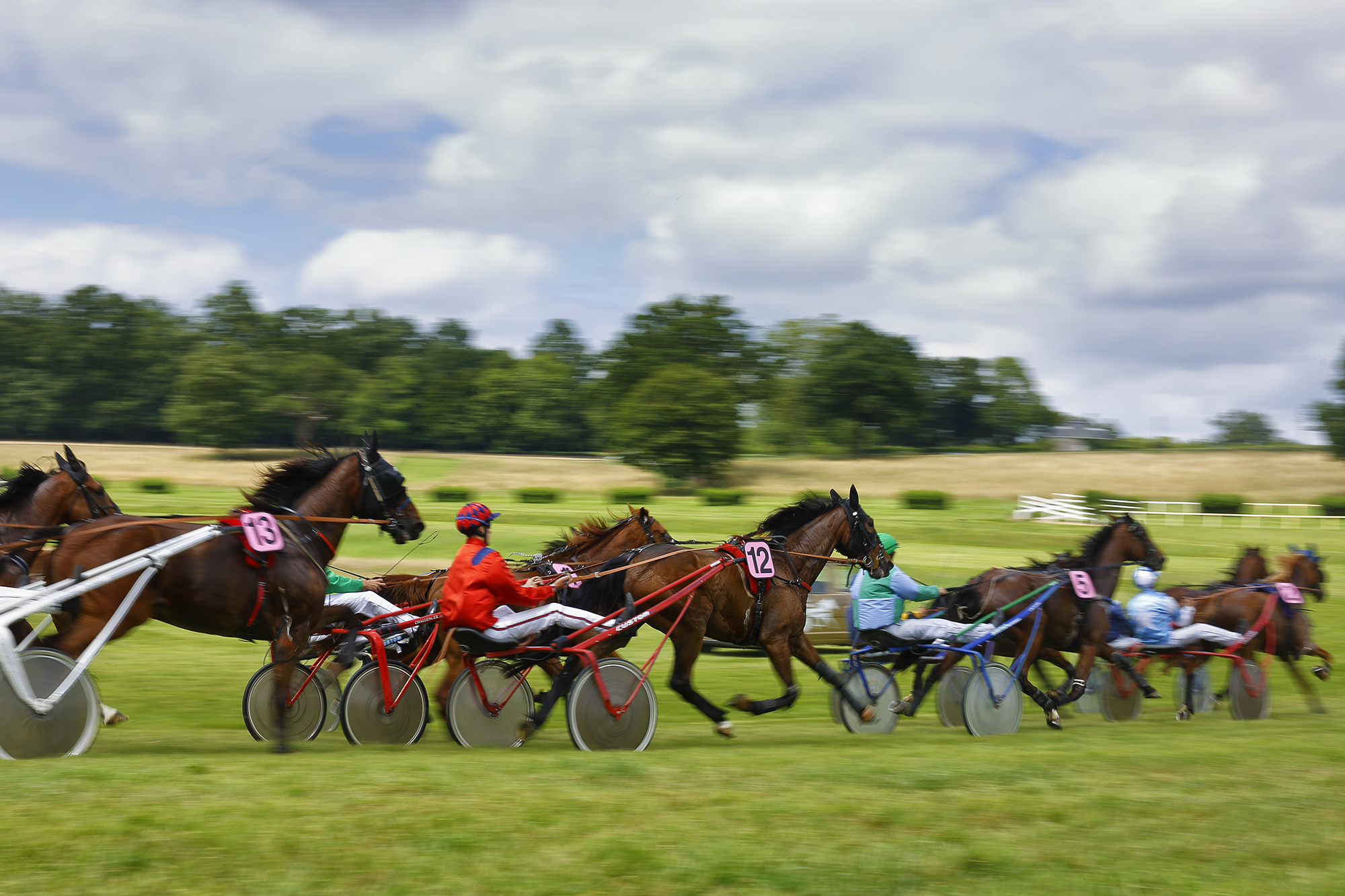 Courses hippiques - Segré en Anjou Bleu